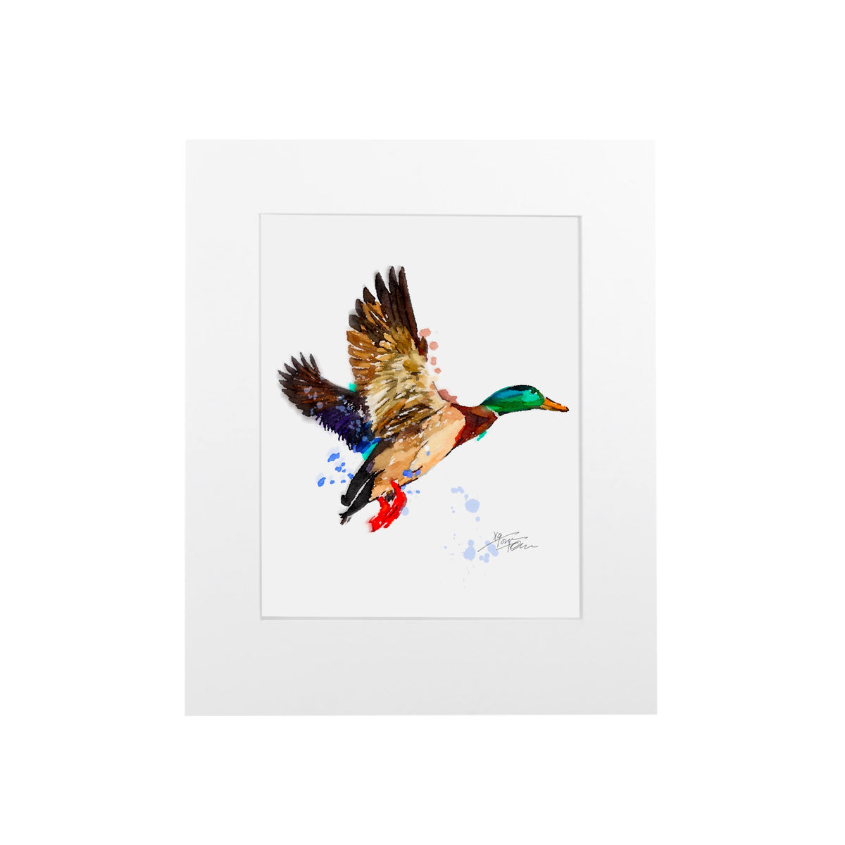 Mallard Flying Print by TomTom – TomTom and Company